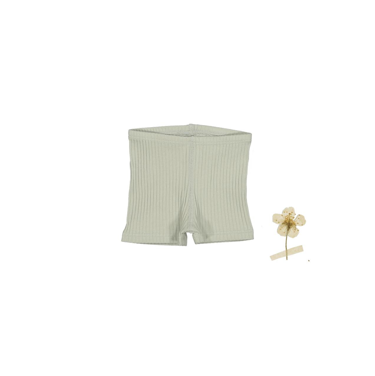 The Short - Mist – The Prissy Pelican